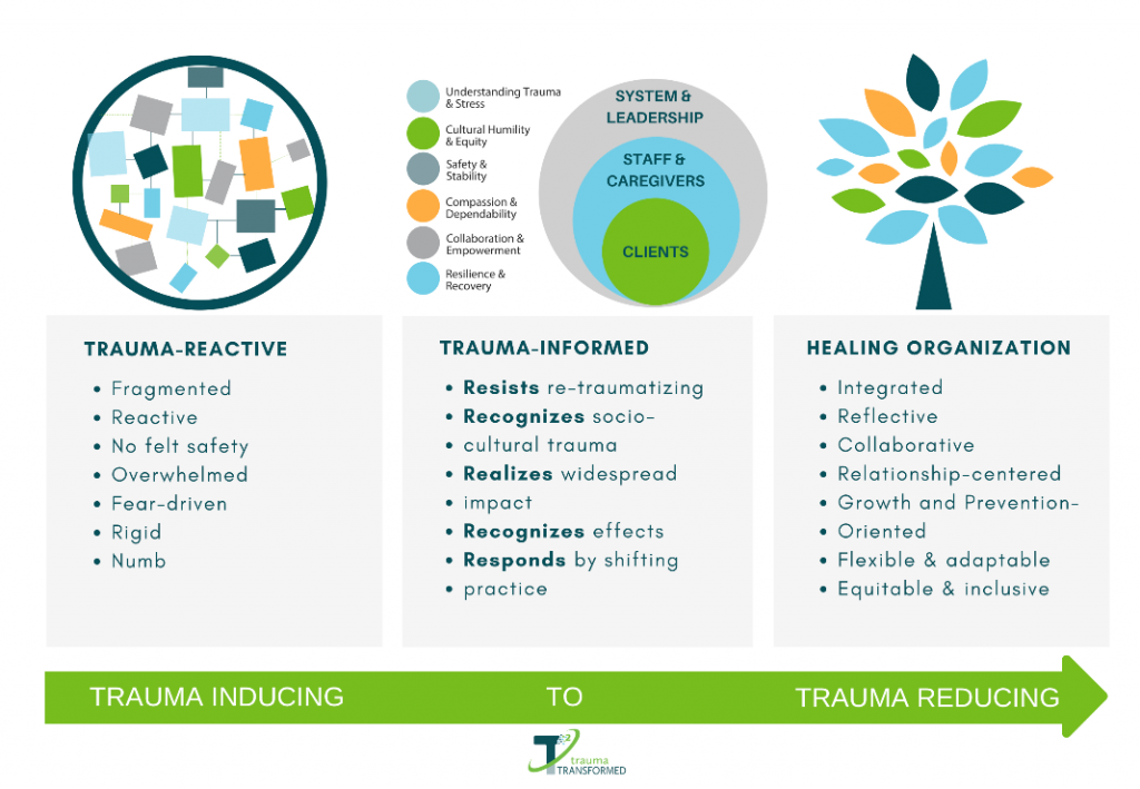 The Journey Toward a Healing Organization: 10 Steps to Transform a ...