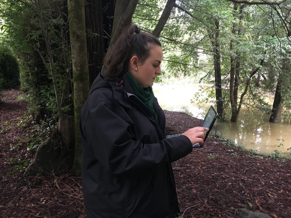Case Study: Responding to Homelessness Using Geo-Mapping - Center for ...